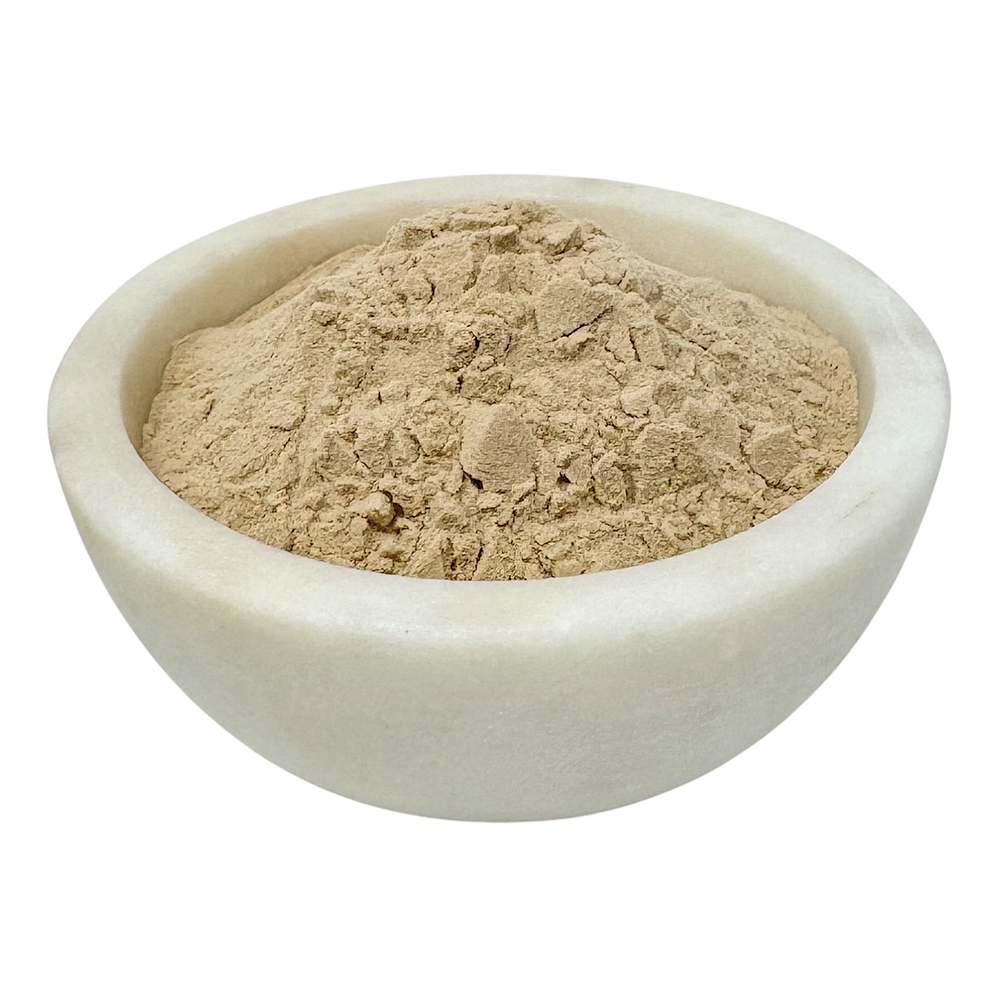 Carrot Juice Powder wholesale, in bulk