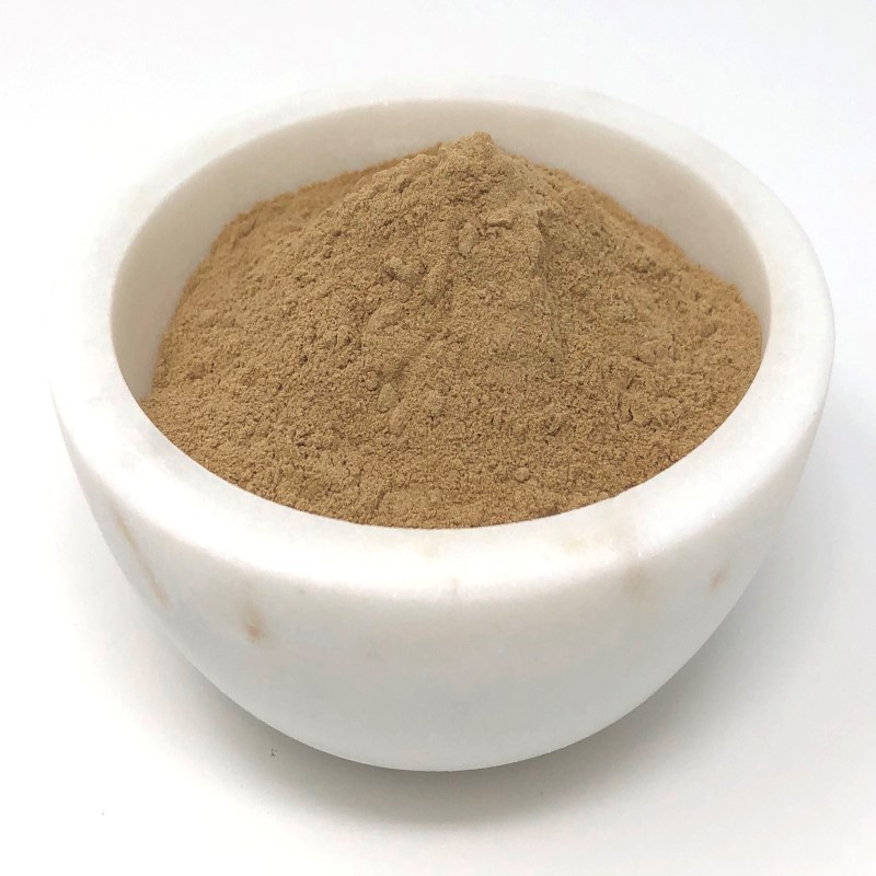 Ginkgo biloba leaf organic botanical extract diy memory brain powder 1 ...